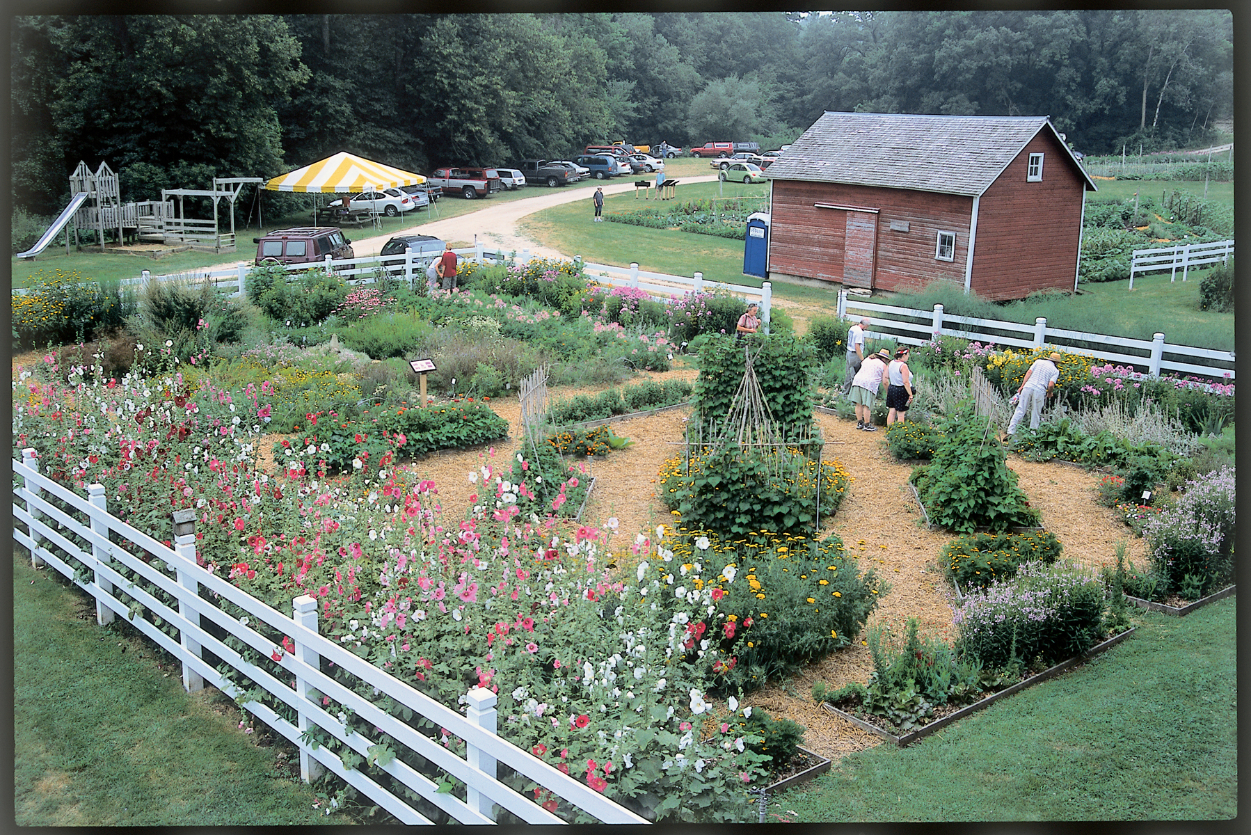 Build Permanent Garden Beds and Paths – Mother Earth News